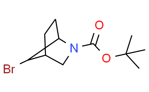 tert-butyl 7-bromo-2-aza-bicyclo[2.2.1]heptane-2-carboxylate - CAS:1221818-32-1 - 艾琪康医药科技(上海)有限公司